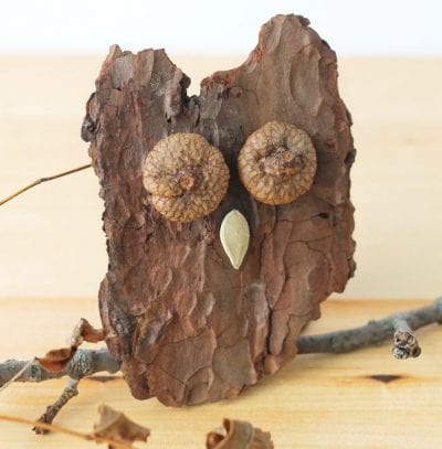25 Fun and Easy Nature Crafts and Activities!