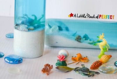 25 Ocean Activities, Experiments, and Crafts for Kids To Dive Into
