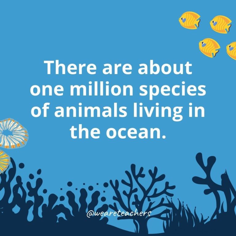 Ocean Facts for Kids to Share in the Classroom and at Home!