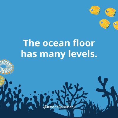 Ocean Facts for Kids to Share in the Classroom and at Home!