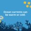 Ocean Facts for Kids to Share in the Classroom and at Home!