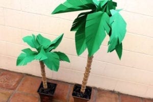 25 Beach Classroom Theme Ideas - WeAreTeachers