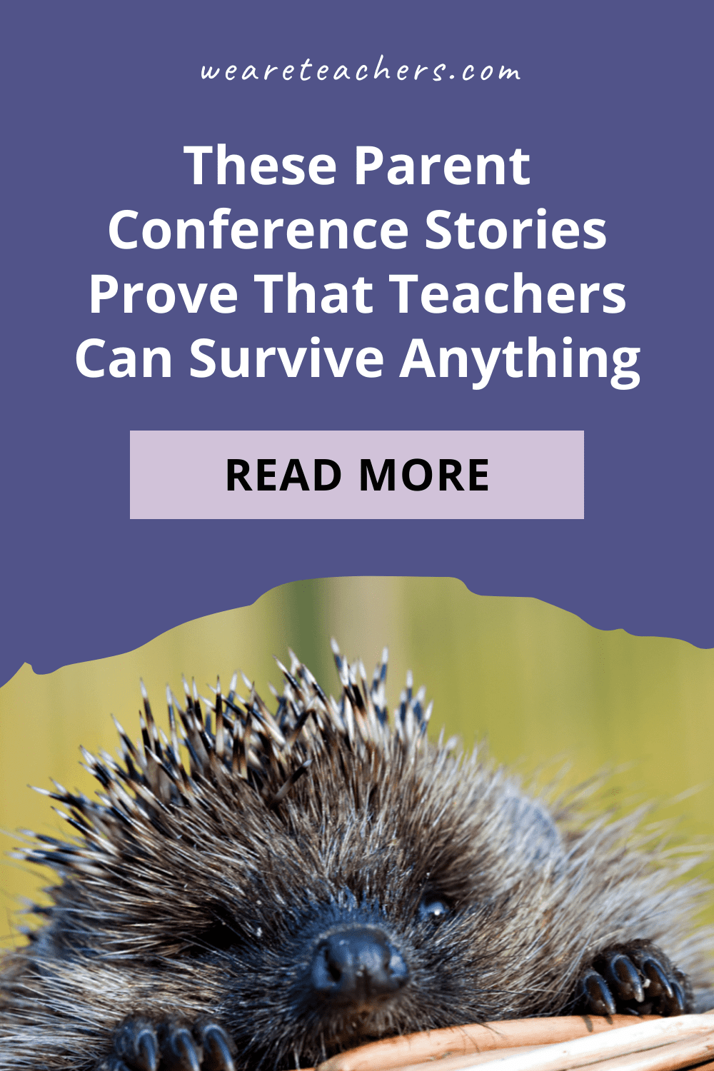 Funny Parent Conference Stories Prove Teachers Can Survive Anything!
