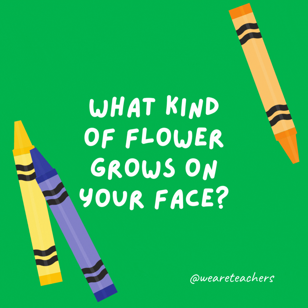 24 Adorable Preschool Jokes Your Kids Will Love 24 Adorable Preschool Jokes Your Kids Will Love