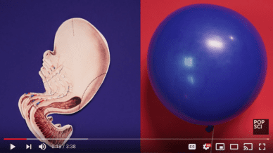 Free Science Videos for the Classroom - 20 Online Resources