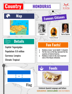 This Digital Country Report Poster Is Perfect for Remote Learning