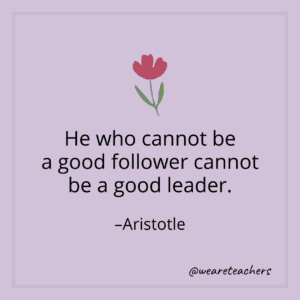 20 Best Team Building Quotes for Classrooms and Schools