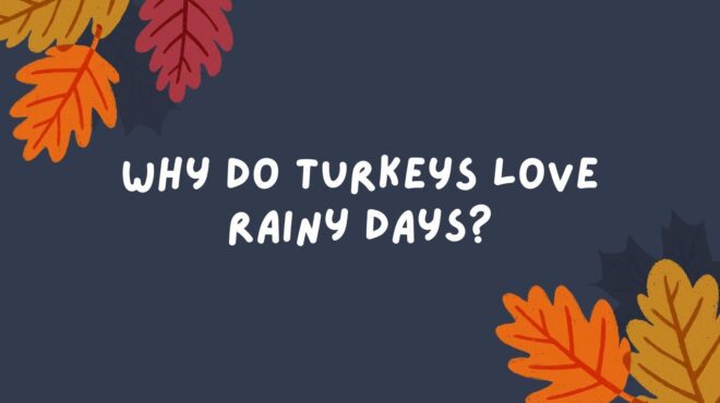 61 Corny Thanksgiving Jokes for Kids To Get Them Laughing!