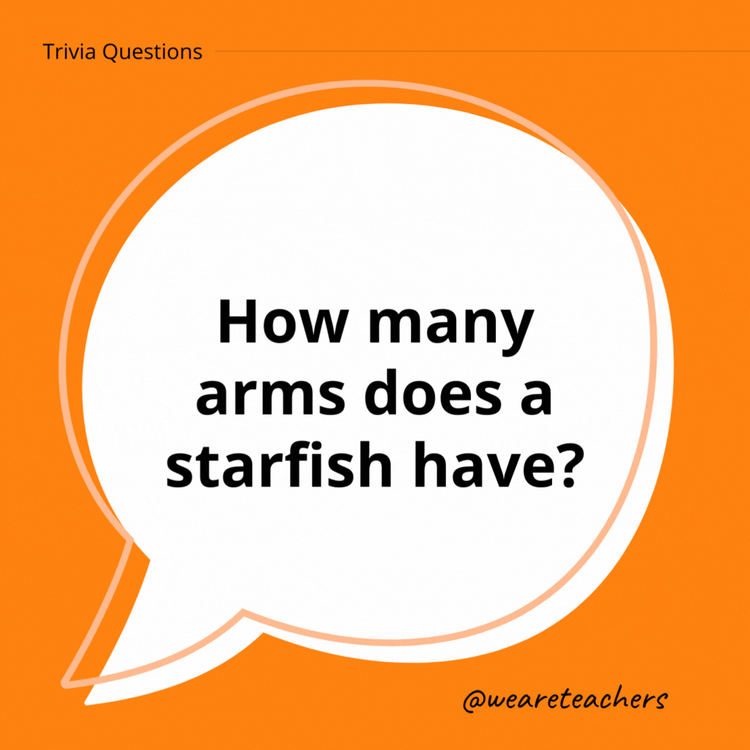 100 Trivia Questions For Kids Of All Grade Levels