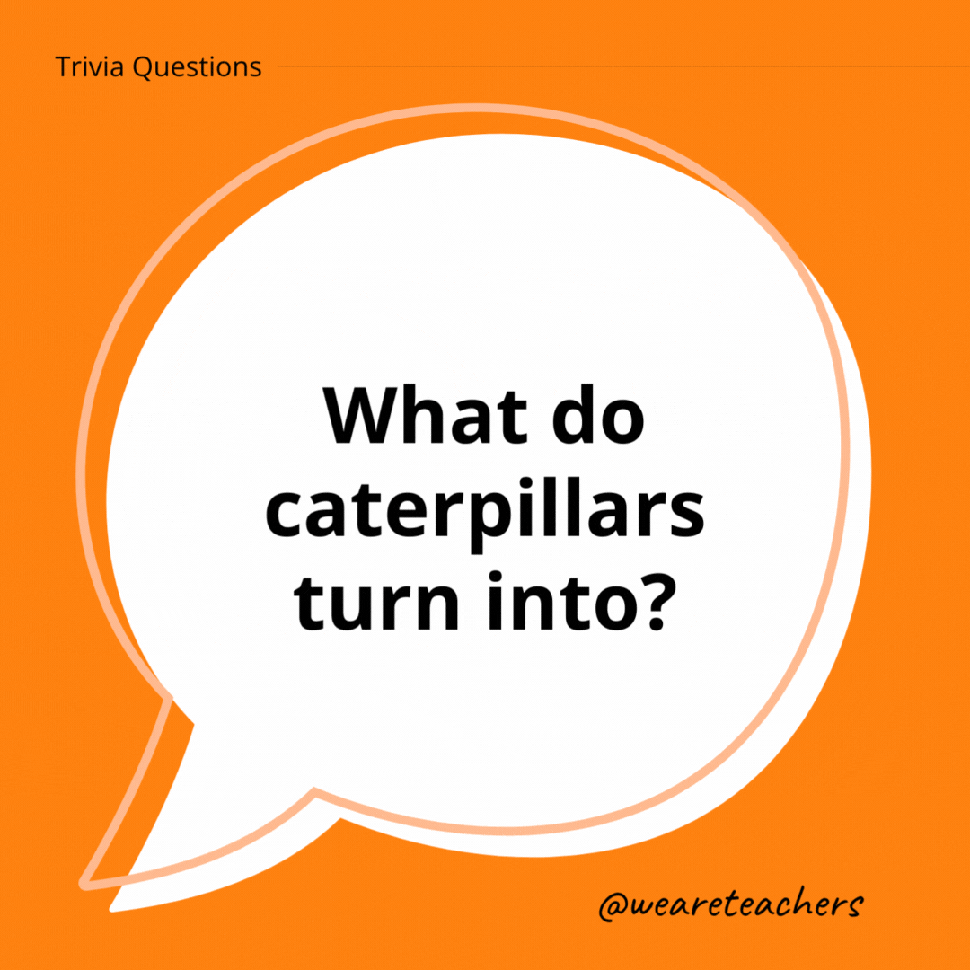 100 Trivia Questions For Kids Of All Grade Levels