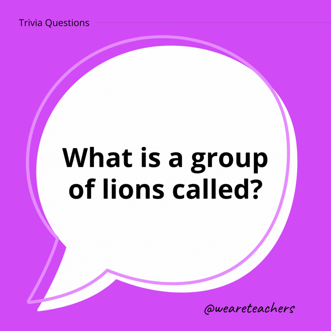 100 Trivia Questions For Kids Of All Grade Levels