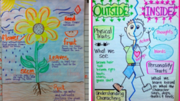 Anchor Charts 101: Why and How to Use Them, Plus 100s of Ideas