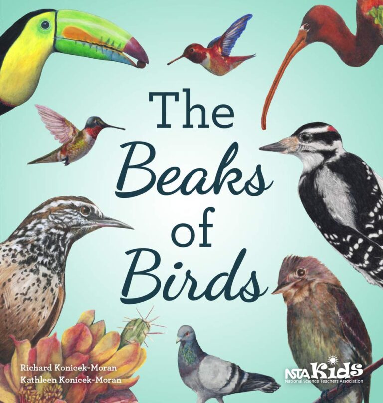 Bird Books for Kids, as Recommended by Teachers