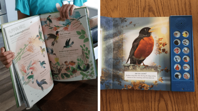 Bird Books for Kids, as Recommended by Teachers