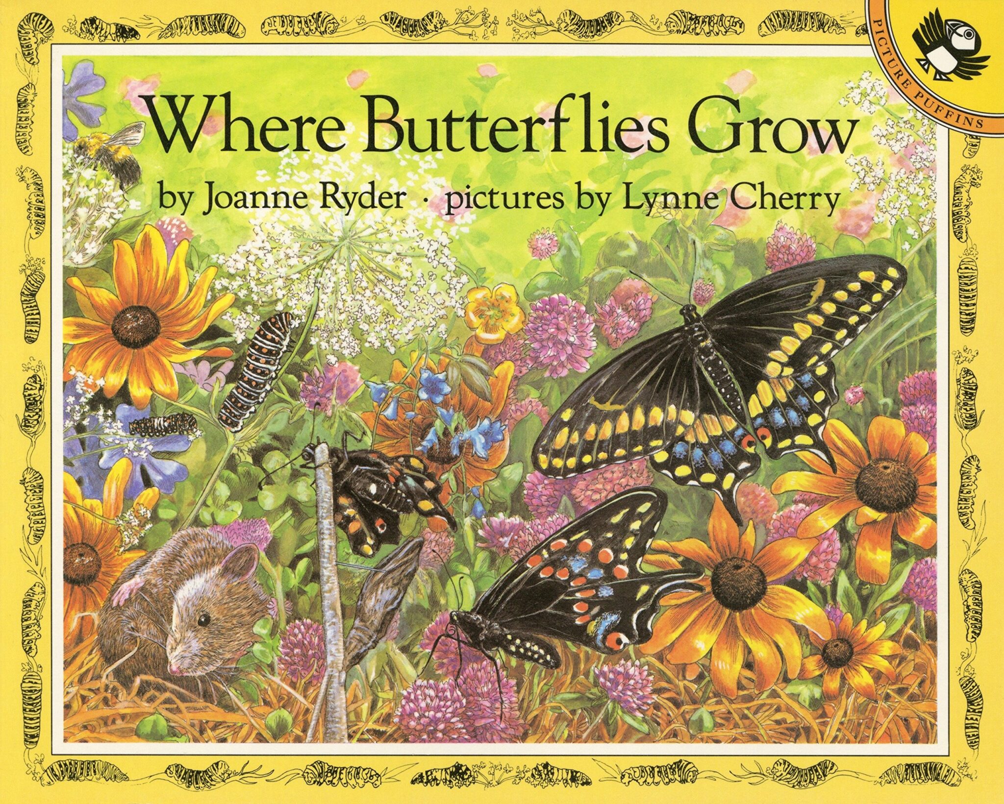 16 Best Butterfly Books for Kids