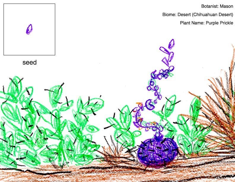 Explore Plant Design and Biomes With This Fun, Interactive Lesson