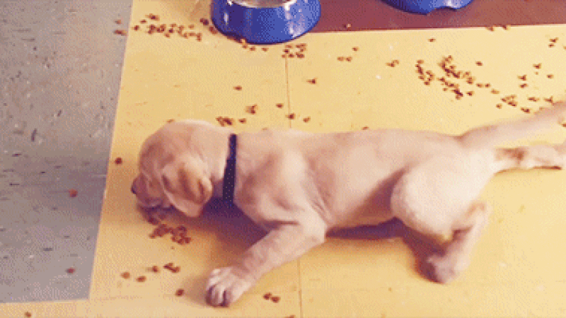 Category - Humor Page 16 - We Are Teachers