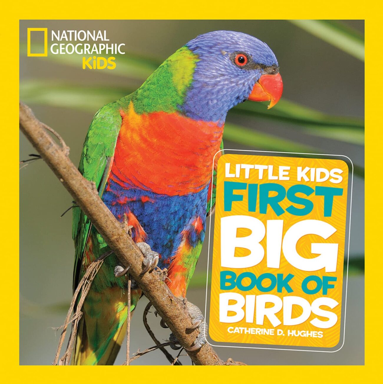 Bird Books for Kids, as Recommended by Teachers