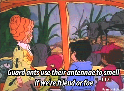 7 Classroom Lessons Teachers Can Learn from Ms. Frizzle