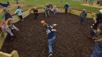 Everything You Need To Know About Gaga Ball Pits