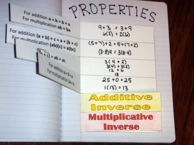 How To Use an Interactive Notebook (Plus 25 Stellar Examples)
