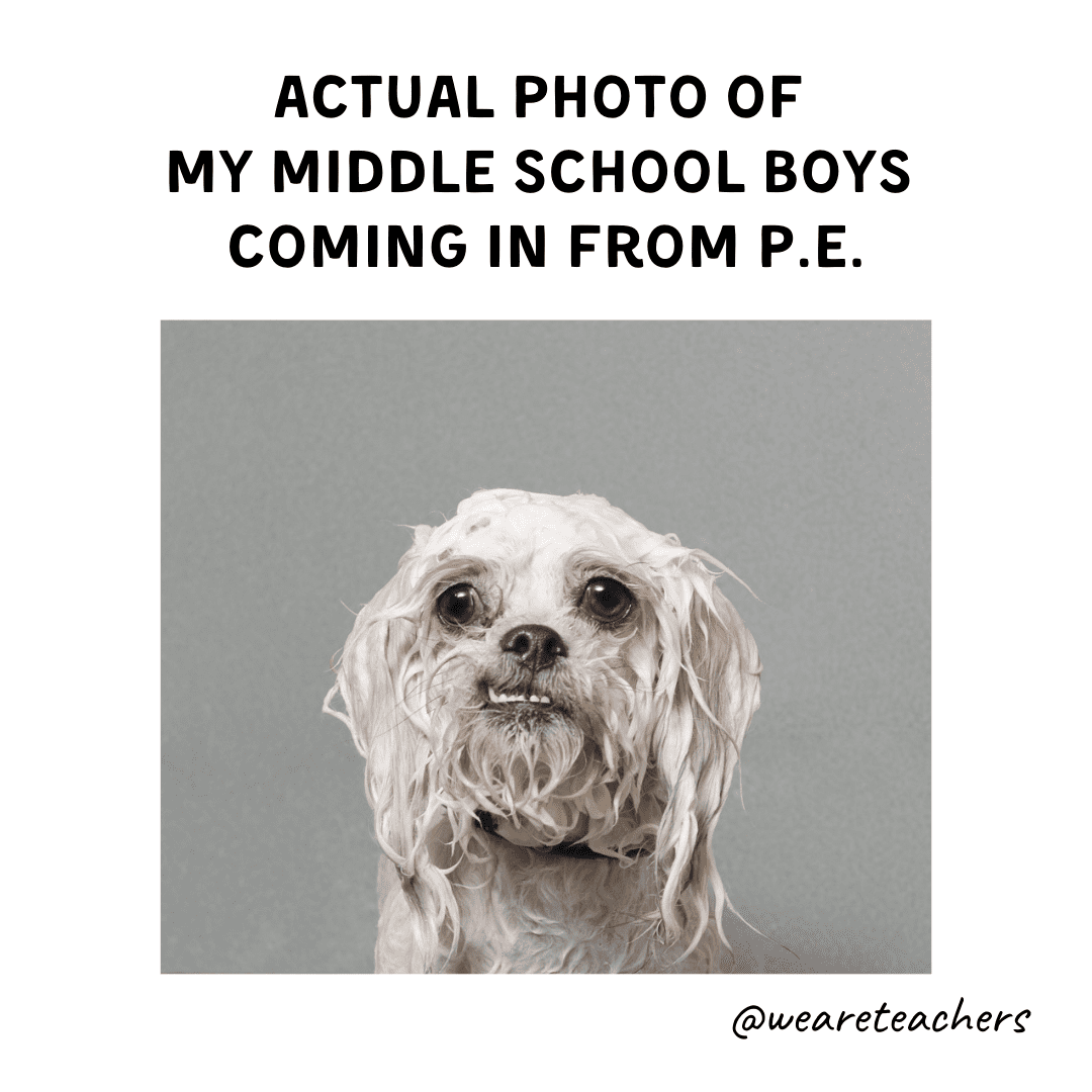 19 Memes Capturing the Reality of Teaching Middle School