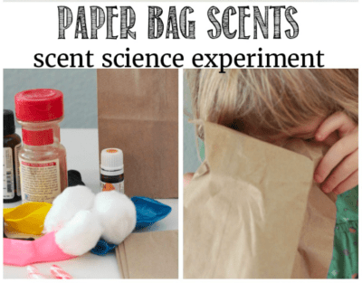 38 Free and Fun Kindergarten Science Activities