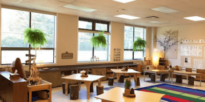 14 Nature-Themed Classroom Ideas To Inspire Your Decor