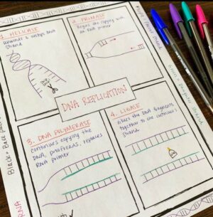 20 One-Pager Examples + Advice for Using Them With Students