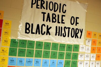 20 Inspirational Bulletin Board Ideas for Black History Month