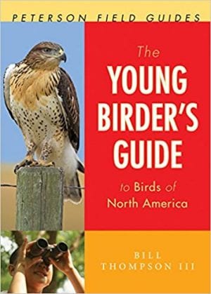 Birding for Kids - 19 Easy Ways to Get Kids into Birding