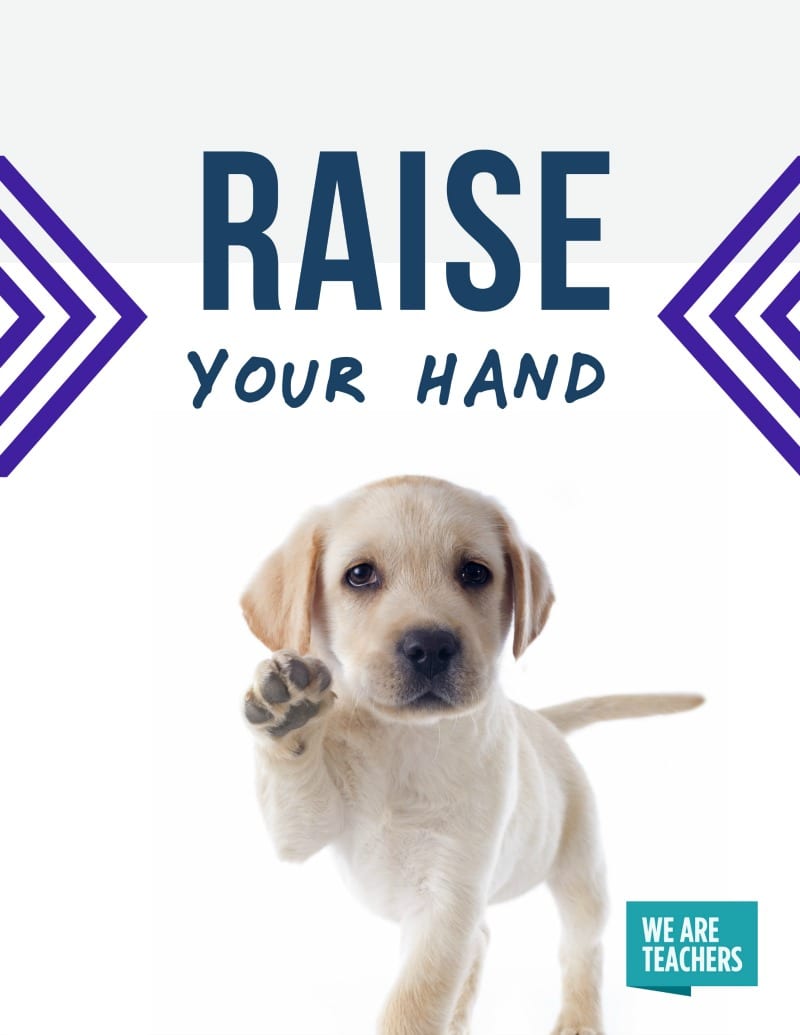 Classroom Rules Posters Featuring Lovable Puppies