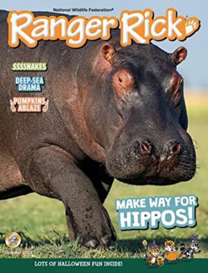 Best Magazines for Kids to Share in Your Classroom