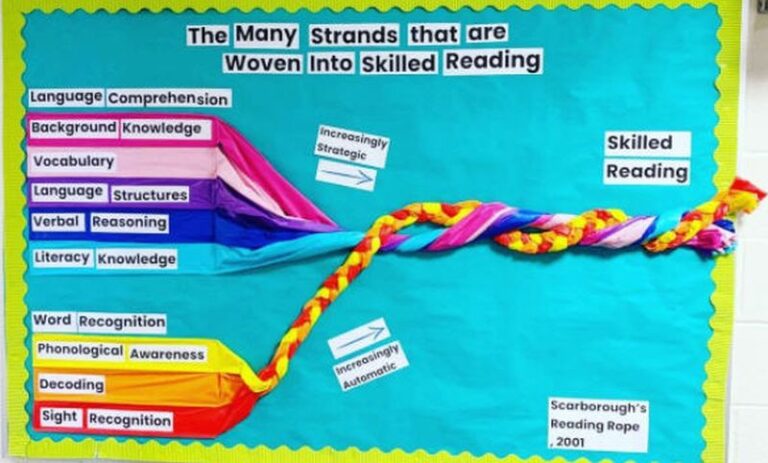 What Is Scarborough's Reading Rope? (Plus How Teachers Use It)