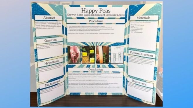 3 Easy Science Fair Board Projects and Creative Ways to Use Them