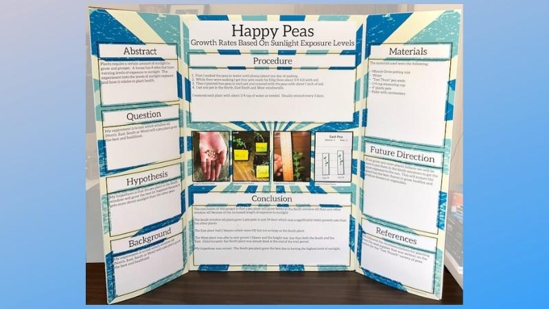 3 Easy Science Fair Board Projects And Creative Ways To Use Them