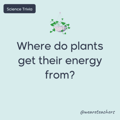 25 Science Trivia Facts To Spark Student Curiosity - We Are Teachers