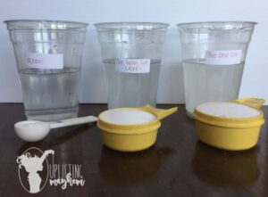 45 Fun and Educational Seventh Grade Science Projects and Experiments