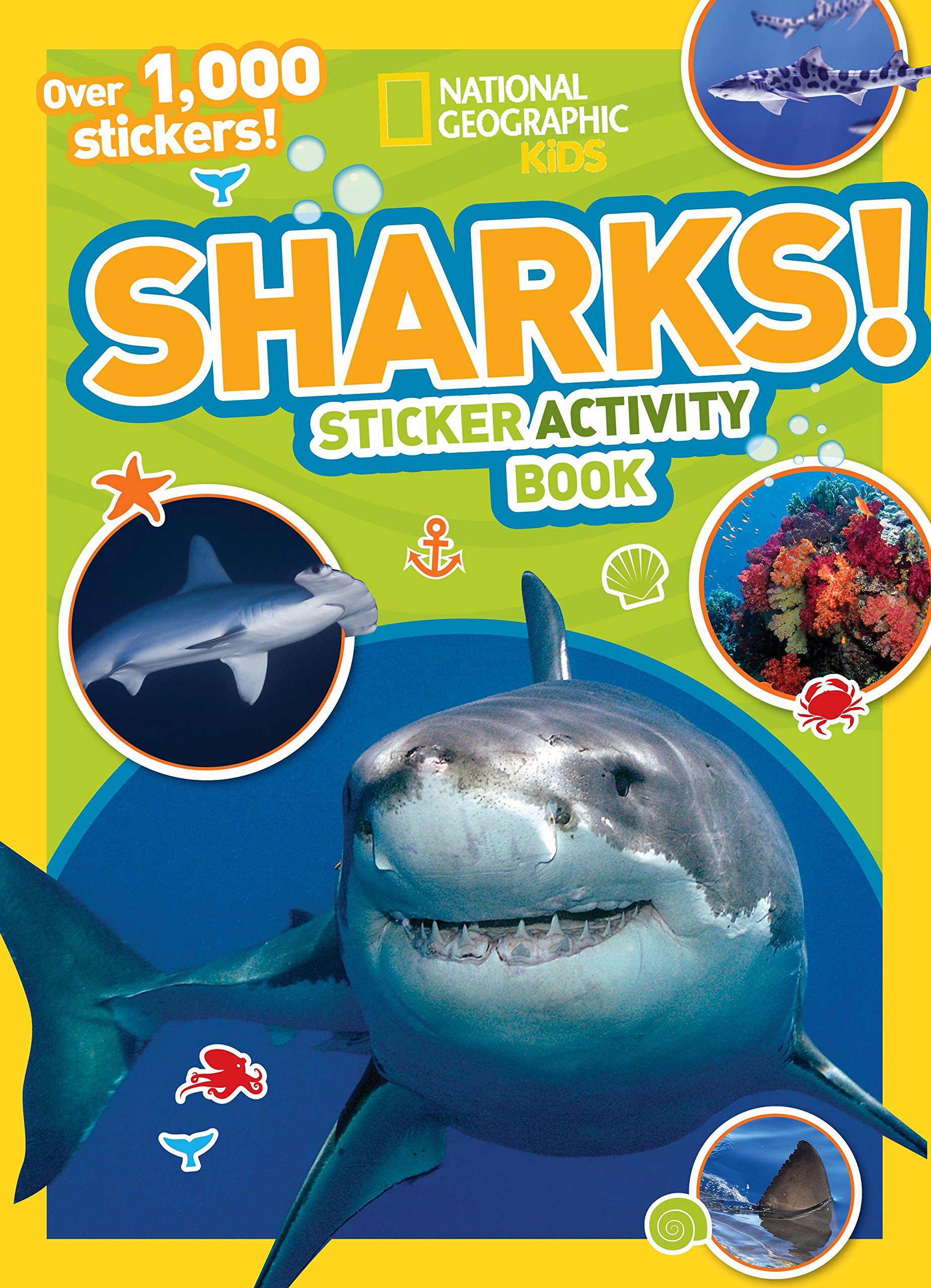 Best Shark Books for Kids, as Recommended by Teachers