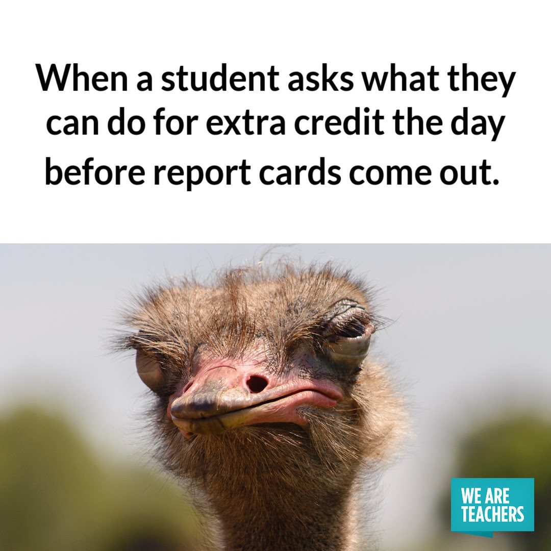 19 Memes Capturing the Reality of Teaching Middle School