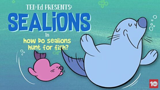 45+ Must-Watch Ted Talks Students Will Love - WeAreTeachers