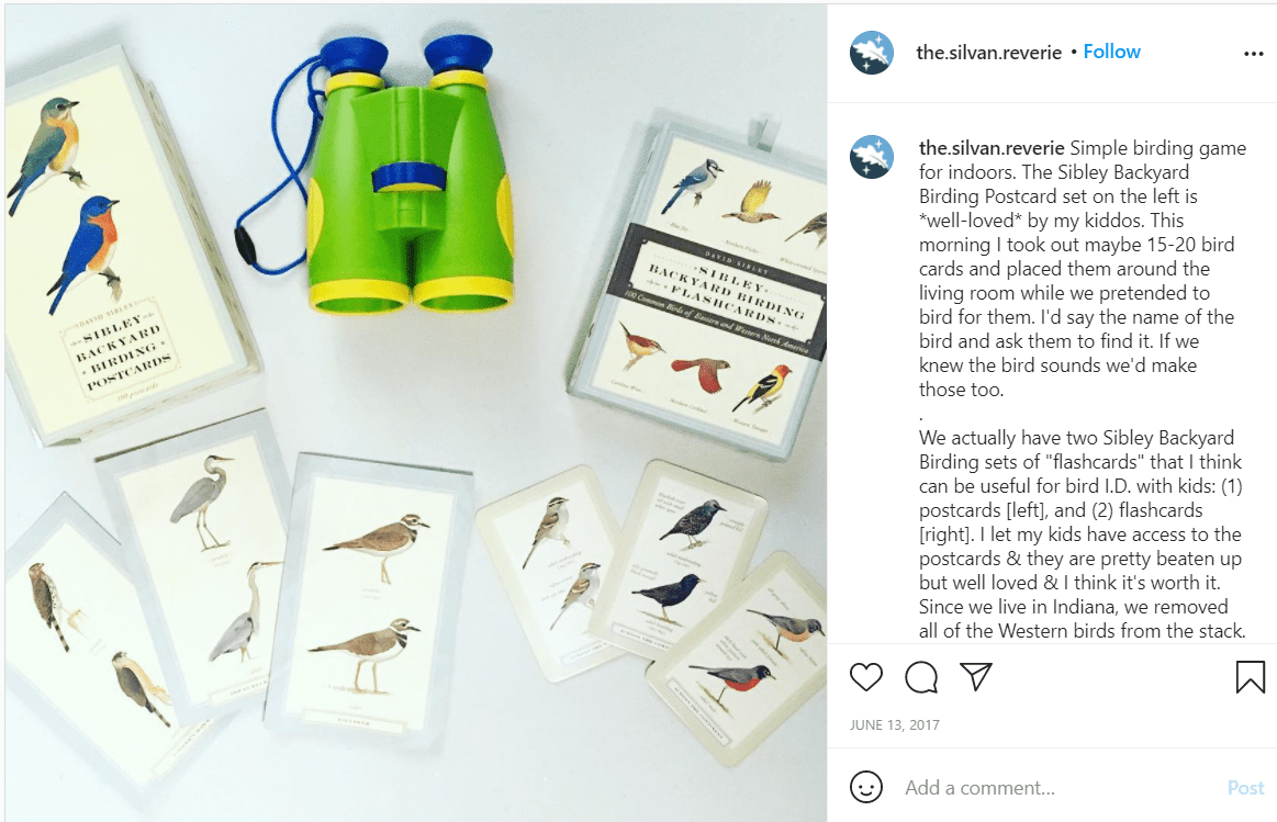 Birding for Kids - 19 Easy Ways to Get Kids into Birding