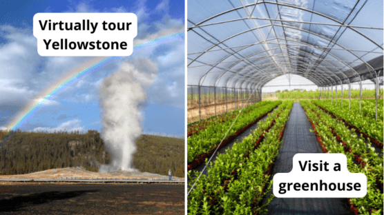 Virtual and In-Person 3rd Grade Field Trips