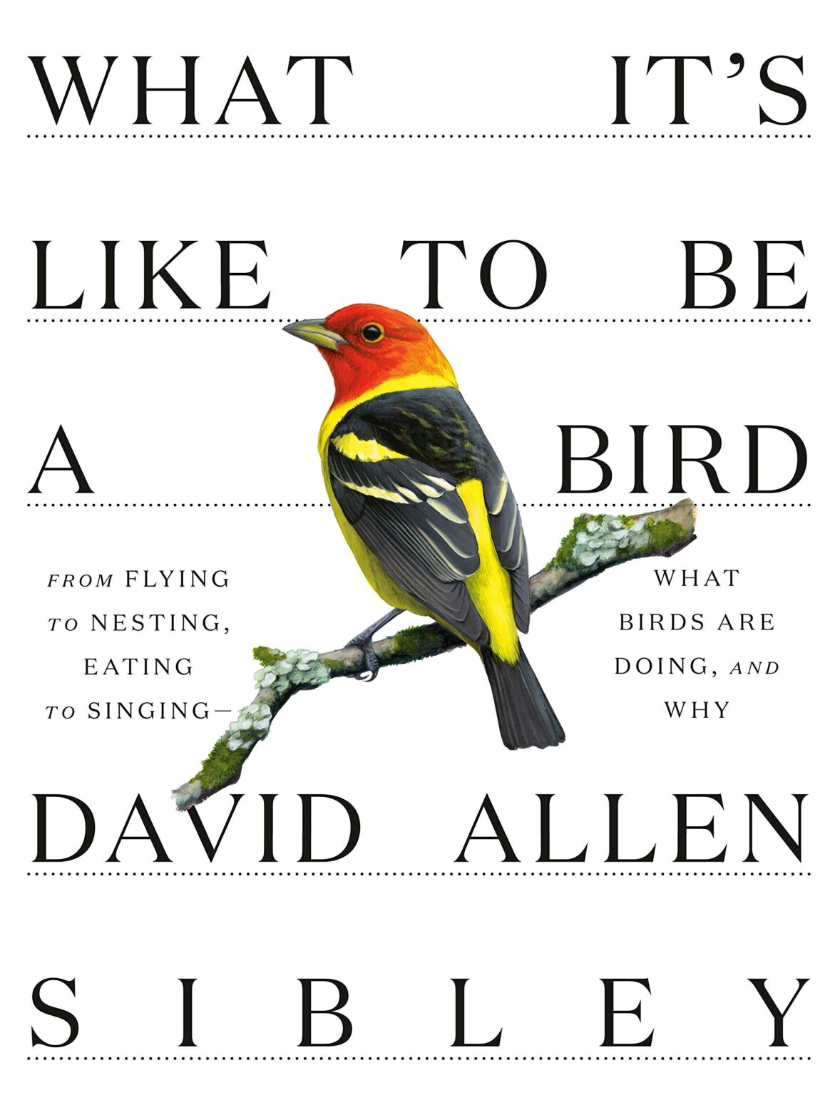 Bird Books for Kids, as Recommended by Teachers