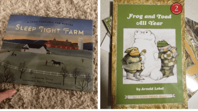 43 Best Winter Picture Books for the Classroom